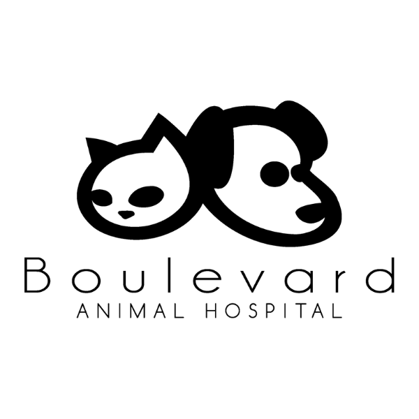 Contact Us - Boulevard Animal Hospital